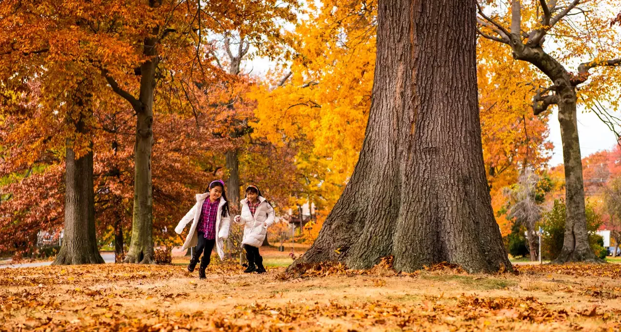 Fall Foliage in Poconos | HolidayKeepers