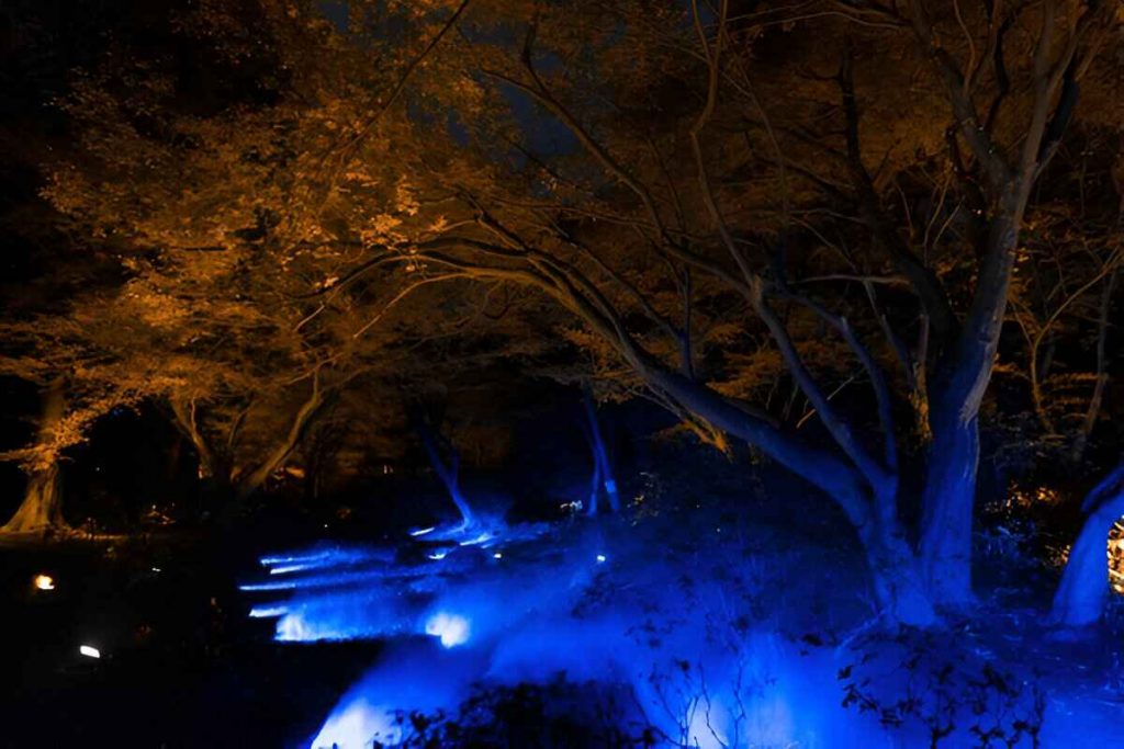 35 Unique Prom Theme Ideas | Ideas to Throw the Ultimate Party