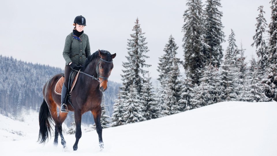 Poconos Horseback Riding in Winter | HolidayKeepers