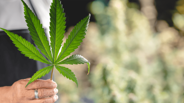 Pocono CannaFest | HolidayKeepers