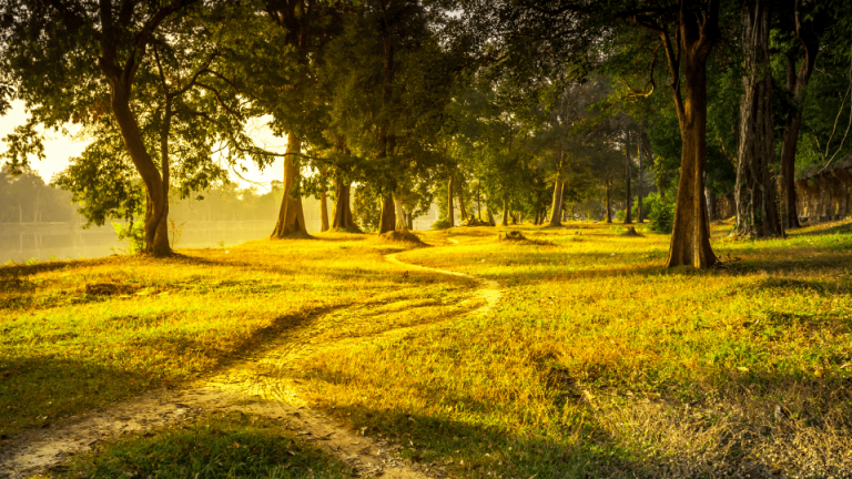 Promised Land State Park | HolidayKeepers